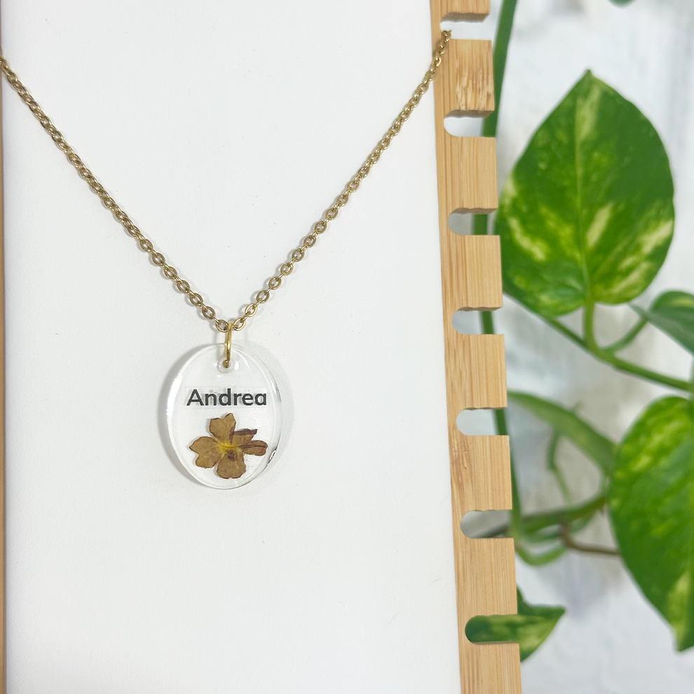 Andrea collar – Molii nature